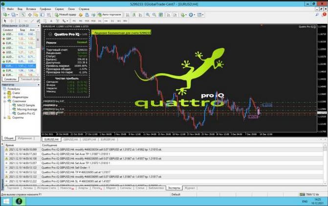 Quattro Pro | Официальная продажа советника